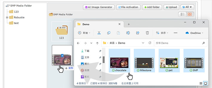 CAYIN CMS User Manuals - File